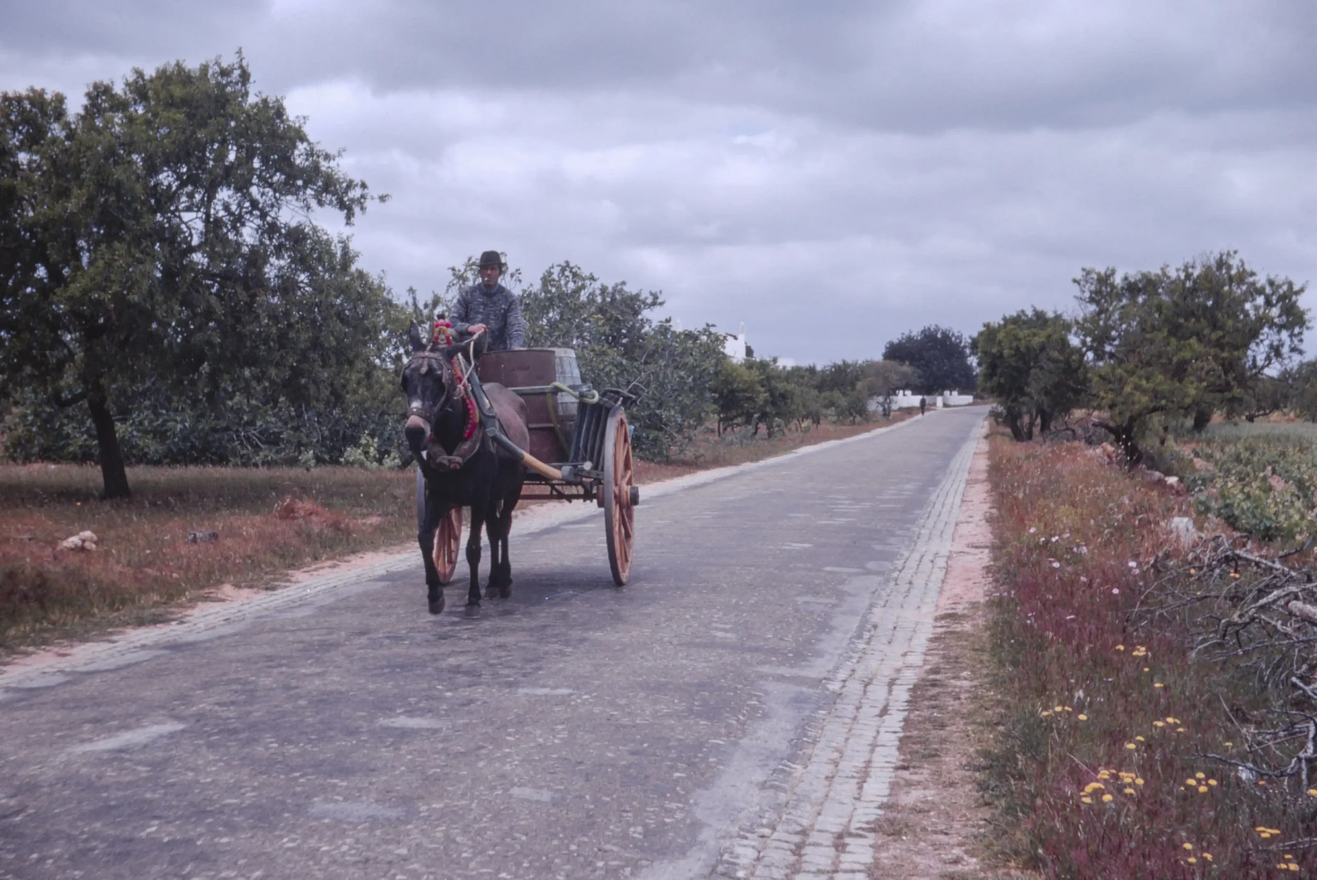 35mm Slide Scanning Service | Convert Slides to Digital